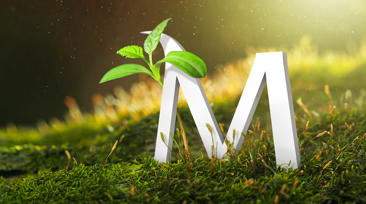 Greenvolt conclui operação de ‘project finance’ de 35 milhões com o ...